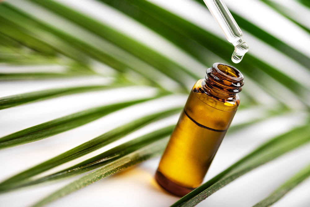 Tea Tree Shampoo: A Natural Solution for Healthy Hair and Scalp – Hairsense